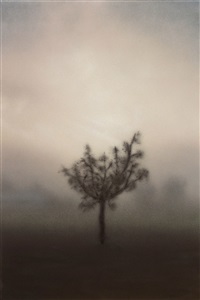 Edoardo Cialfi | Artnet